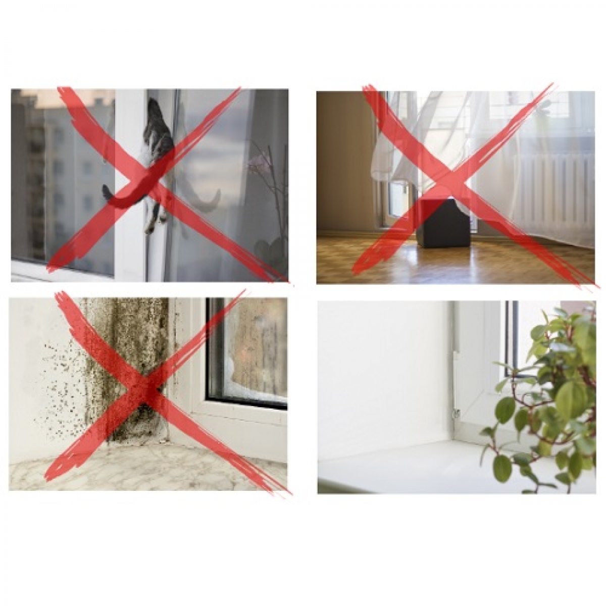 Windyy window and balcony door limiter - from 25.00€
